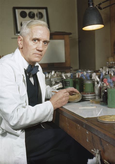 Alexander Fleming El Padre De La Penicilina
