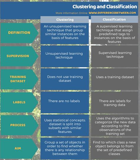 difference between clustering and classification compare the
