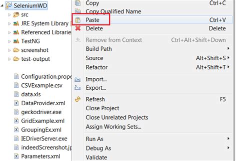 run selenium webdriver tests on chrome browser against mac