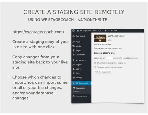 Updating Wordpress Themes Plugins And Core Safely презентация