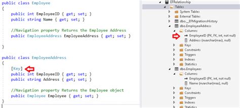 one to one relationship in entity framework core tektutorialshub