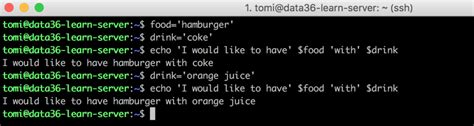 variables if statements and while loops in bash data coding 101