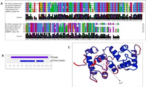 a multiple sequence alignment and comparison of deduced cbl4 protein