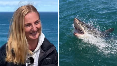 Prime Minister Says He Is Shocked By Brutal Great White Shark Attack In