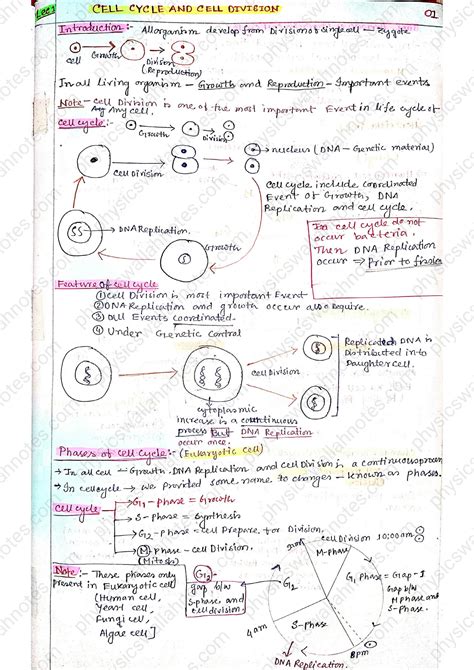 Solution Cell Cycle And Cell Division Class 11 Biology Handwritten