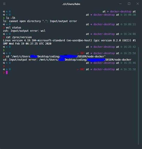 ls cannot access mnt c input output error · issue 6954