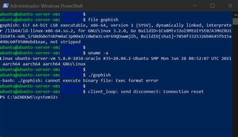 cannot execute binary file · issue 2260 · gophish gophish · github