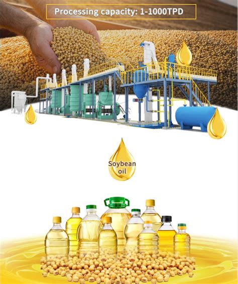 What Operations Can Improve The Soybean Oil Yield Vegetable Oil