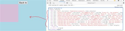 javascript how to print datas by using local json file in react