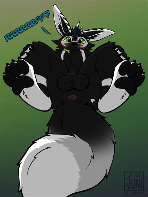 rule 34 2022 absurd res anus big eyes big tail black body black fur