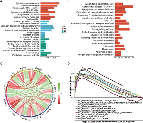 Functional Enrichment Analysis Of Asphd1 Related Degs In Skcm A