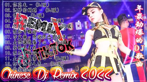 中国最好的歌曲 2022 Dj 排行榜 中国 Chinese Dj 中文舞曲 舞曲串烧 2022 Chinese Dj 年最劲爆的dj
