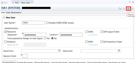 create a new user and assign permissions tutorials for sap developers