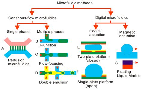 Micromachines Free Full Text Microfluidic Technology For The