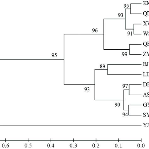 Unweighted Pair Group Method With Arithmetic Mean Upgma Dendrogram
