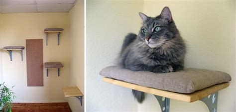Evas Custom Cat Shelves With Cushions And Sisal Scratcher • Hauspanther