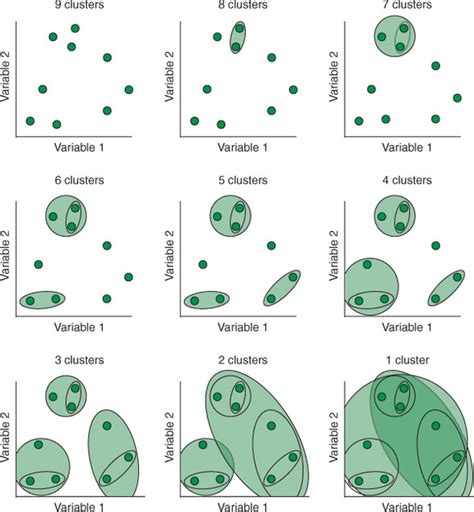 When Should We Choose Agglomerative Clustering Over K Means Clustering