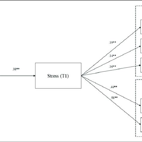 The Results For Mediation Model Note Unstandardized Path Coefficients