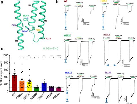 Mutational Analysis Of Thc Binding Pocket A Residues Lining The