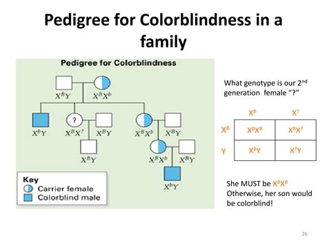 ppt introduction to linked genes and sex linkage h biology ms kim