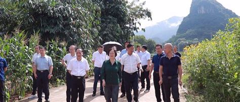 市人大来我县调研乡村振兴和灾后重建工作 李农 相关 大塘
