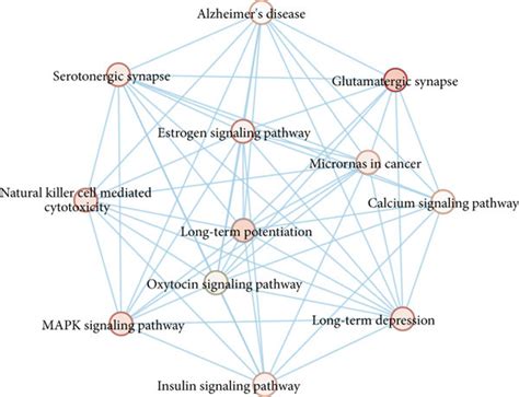 Pathway Enrichment Analysis Of Differentially Expressed Mrnas Targeted