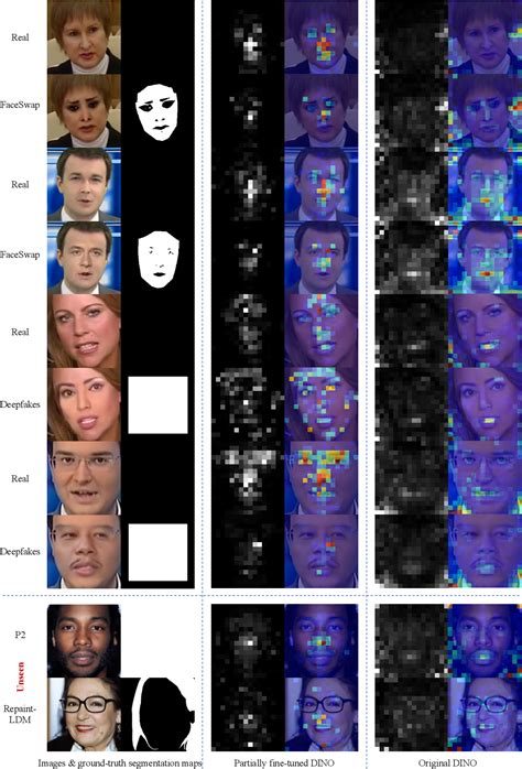 Figure 3 From Exploring Self Supervised Vision Transformers For