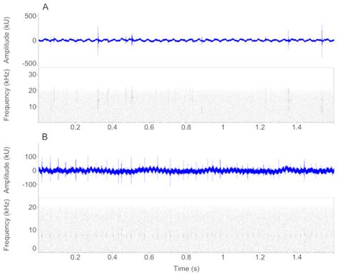underwater sound production varies within not between species in