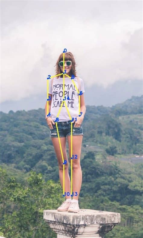 human pose estimation using deep learning in opencv cv