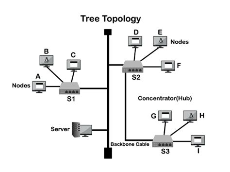 A Guide To Tree Topology Definition Practices And Importance
