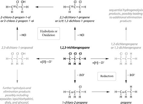 Summary Of Anticipated Primary Reaction Pathways For Degradation Of