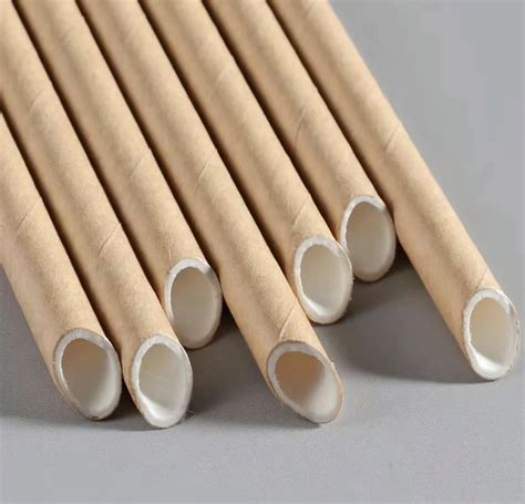 Wholesale Individually Wrap Paper Straws Disposable Drinking Eco