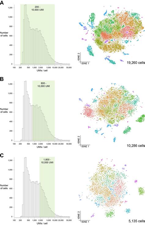 Figures And Data In Cellular Diversity In The Drosophila Midbrain