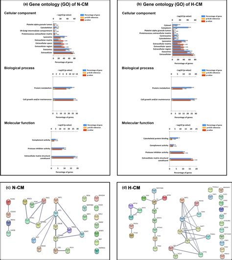 Gene Ontology Go And Subcellular Location Analysis Of The