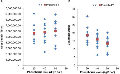 Frontiers Impact Of Sowing Date And Level Of Phosphorus Application