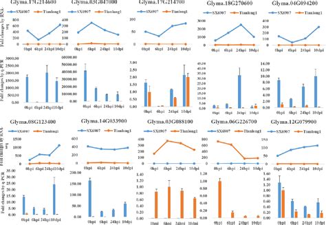 Figure 2 From Rna Seq And Comparative Transcriptomic Analyses Of Asian