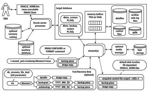 sizing recovery catalog in oracle