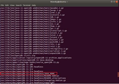 how to find the openjdk path in linux systran box