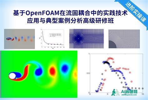 基于openfoam在流固耦合中的实践技术应用与典型案例分析高级研修班 证书认证 门票优惠 活动家官网报名