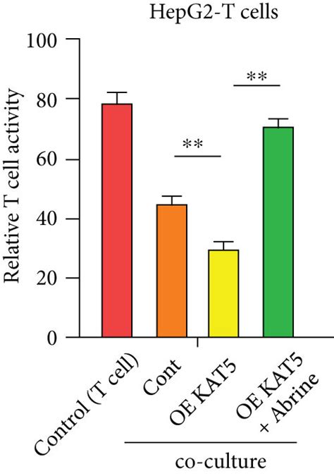 Abrine Stimulates Activation Of T Cells Via Pd L1 Hepg2 Cells Were