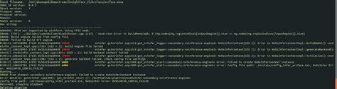 error when convert onnxt to tensorrt with batch size more than 1