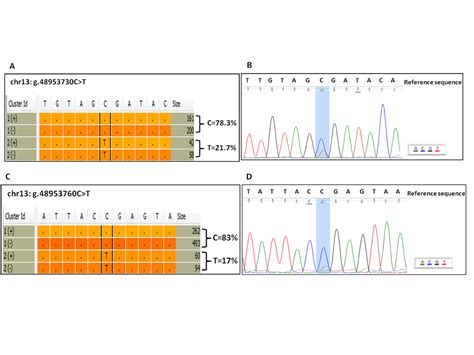 Next Generation Sequencing Based Method Shows Increased Mutation