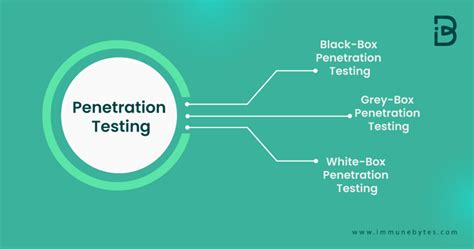 Top 3 Types Of Penetration Testing You Must Know