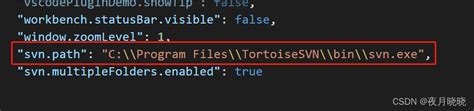 vscode中使用svn插件 vscode svn插件 夜月晓晓的博客 csdn博客