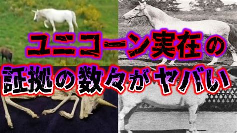 【ゆっくり解説】やっぱり伝説上の聖獣は実在した ユニコーン実在の恐るべき証拠について Youtube