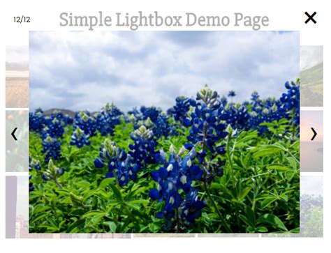 touch enabled lightbox library for vue js