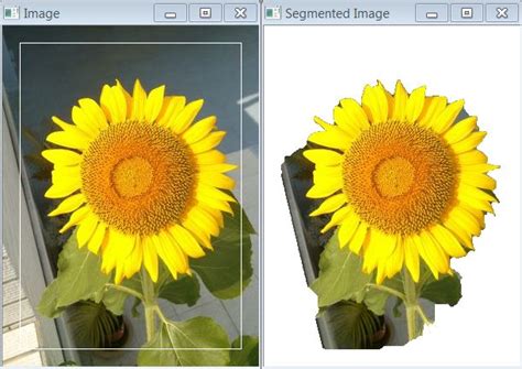 thk s note try grabcut using opencv