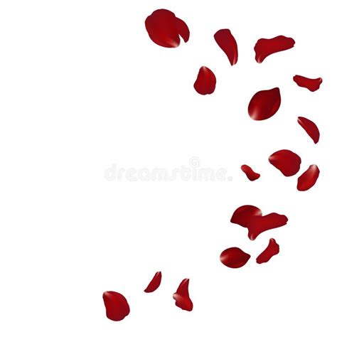 Pétalos De Rosa Rojo Cayendo Confitis Estacional Elementos De Flor