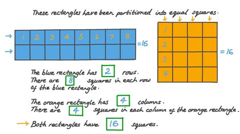 question video counting the rows columns and squares when
