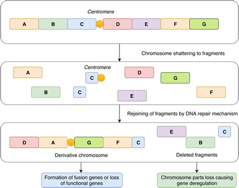Bioinformatic Pipelines For Whole Transcriptome Sequencing Data